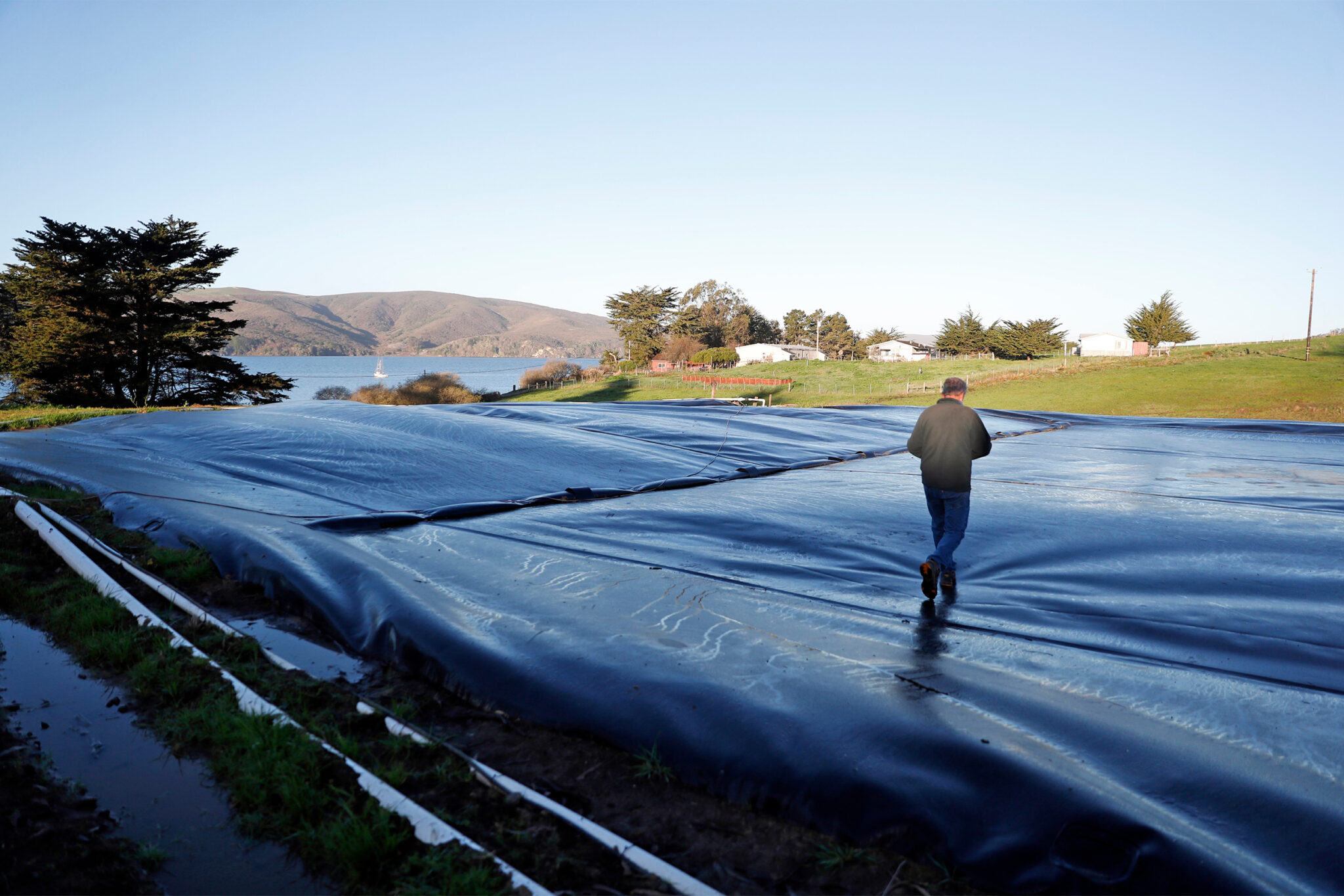 USDA Extends Pause on Loans for Controversial Digesters That Turn ...